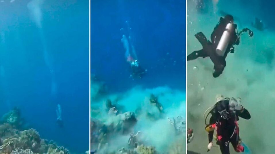 VIDEO: Así se percibe un fuerte terremoto bajo el océano